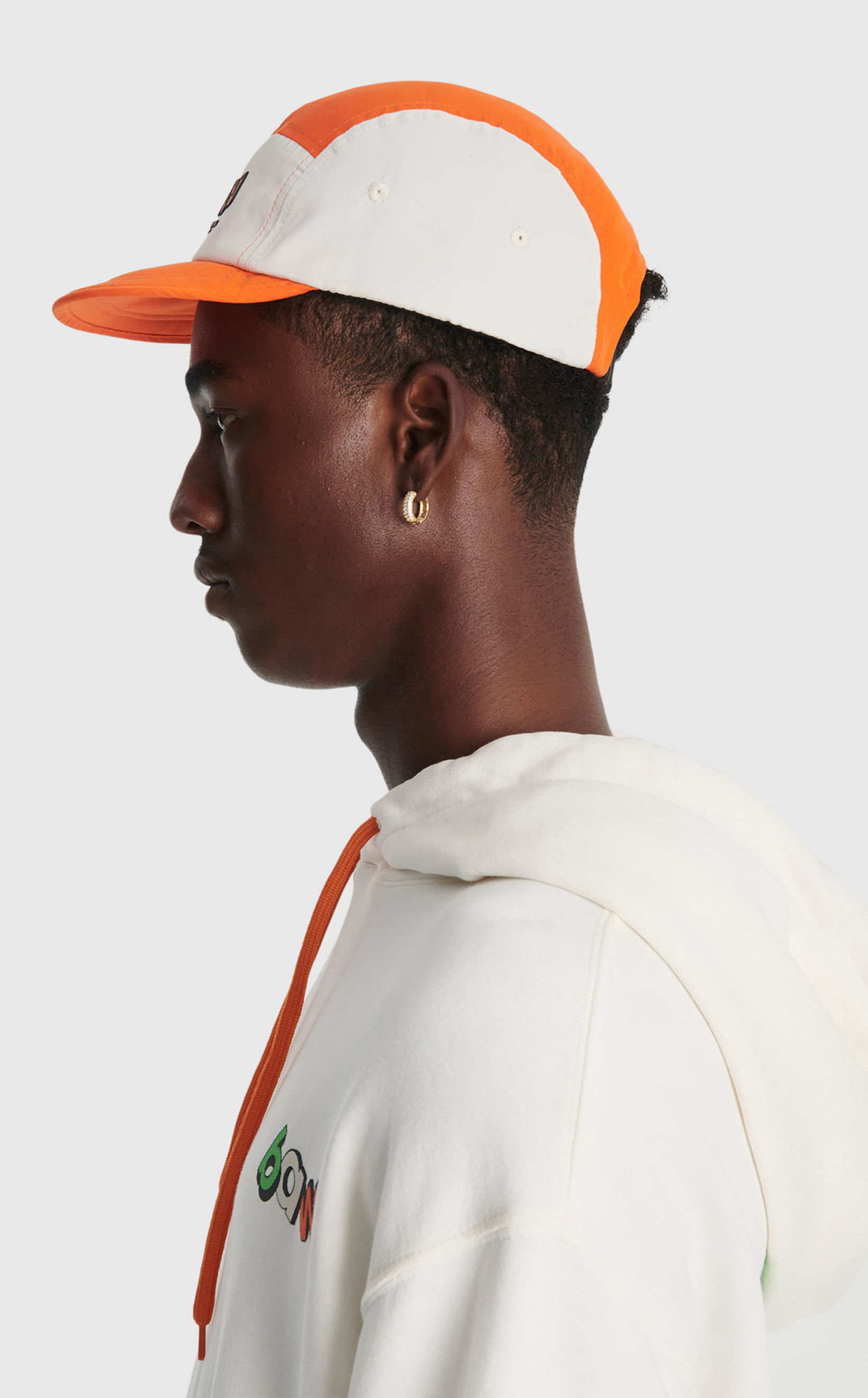 Bone Five Panel Project Ppt Colorblock