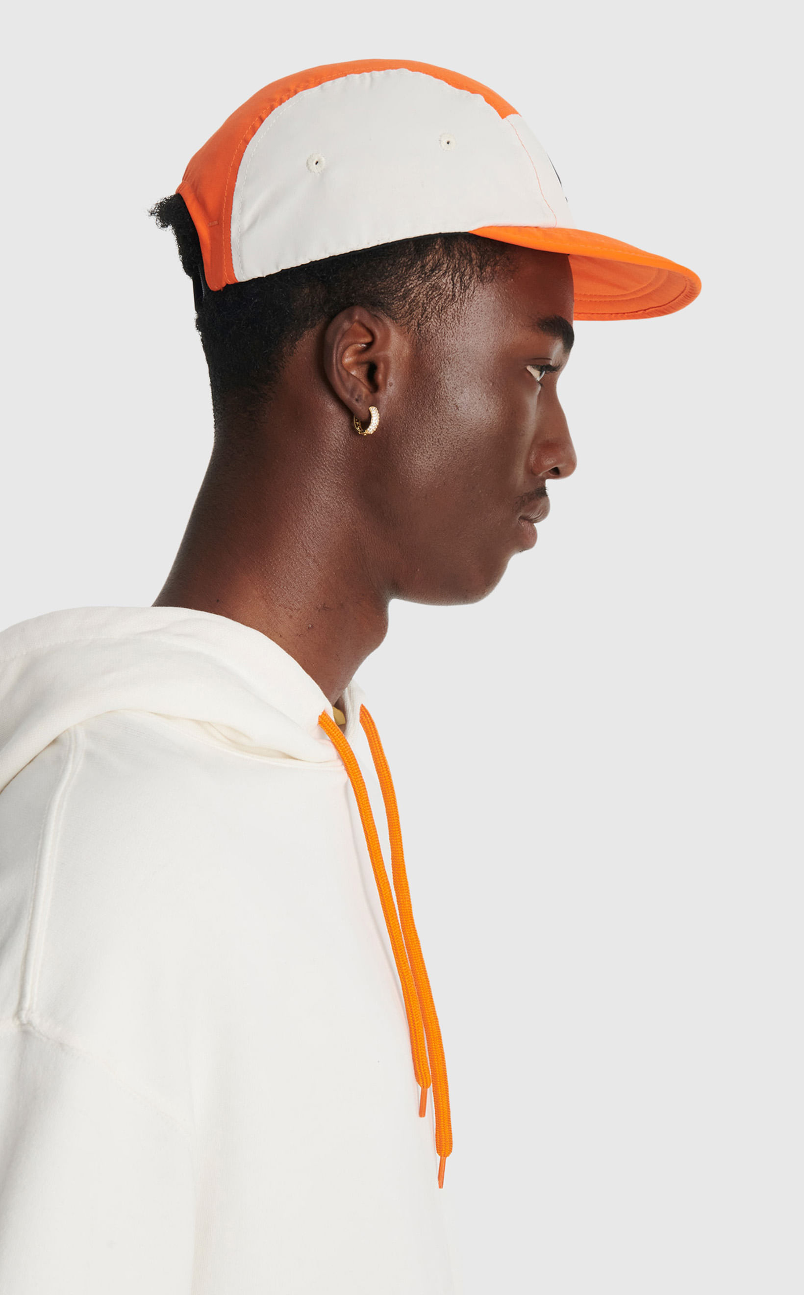 Bone Five Panel Project Ppt Colorblock